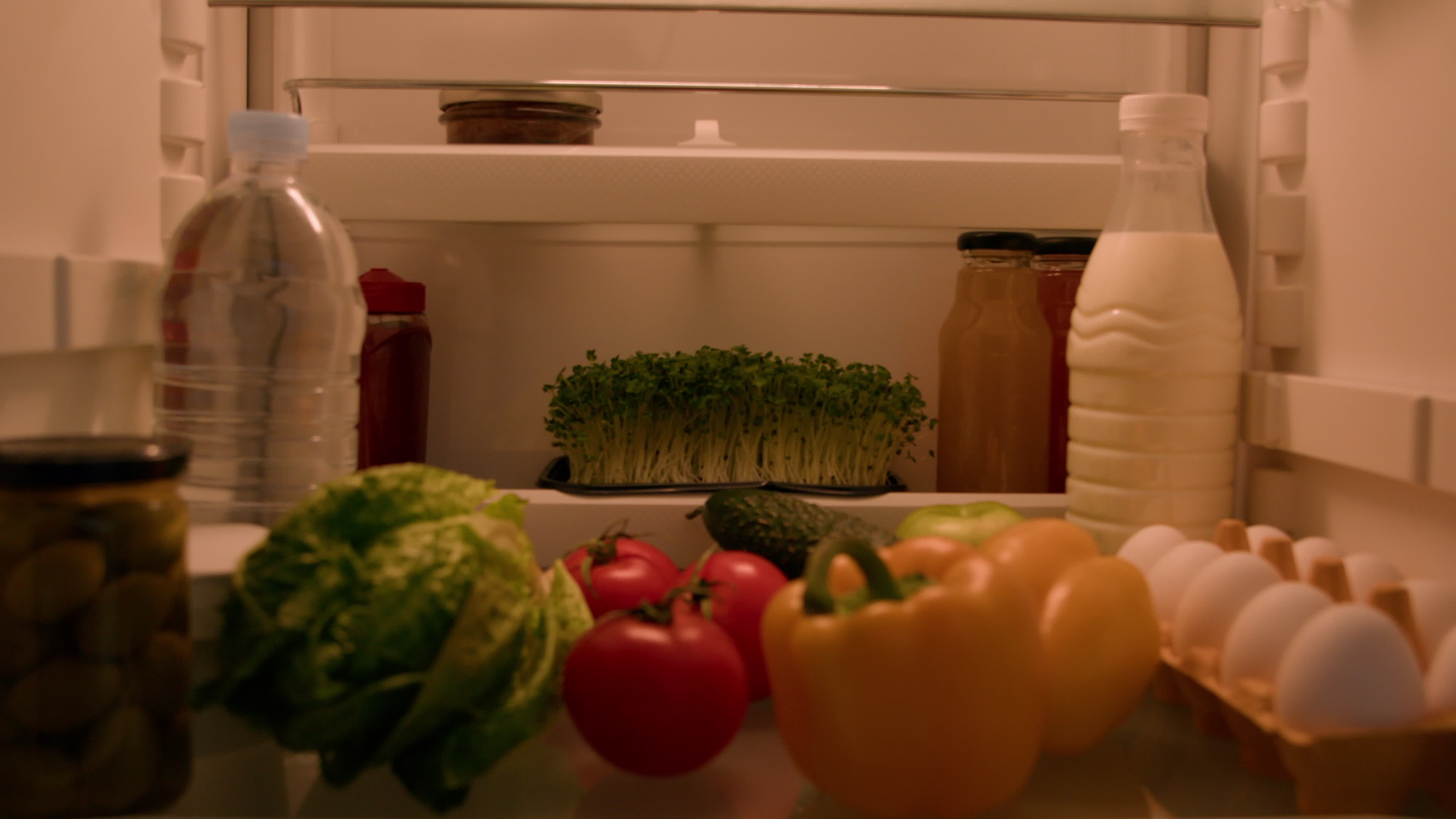 Discover Into the Fridge, a story-driven footage | Artlist