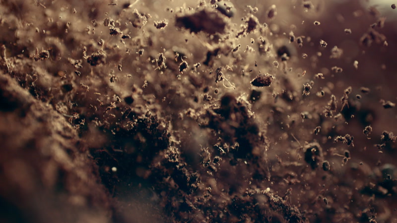 Soil, Shaking, Earthquake, Stones by Ira Belsky | Royalty Free Stock ...