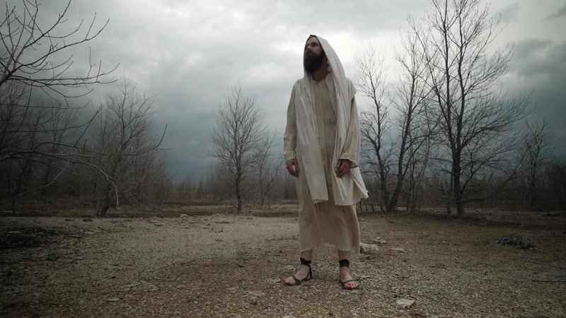 Discover The solitude of Jesus in the wilderness, a story-driven ...