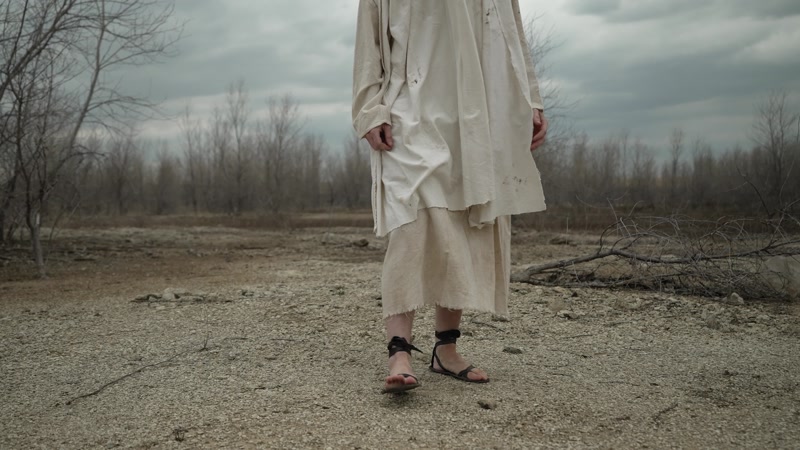 Discover The solitude of Jesus in the wilderness, a story-driven ...