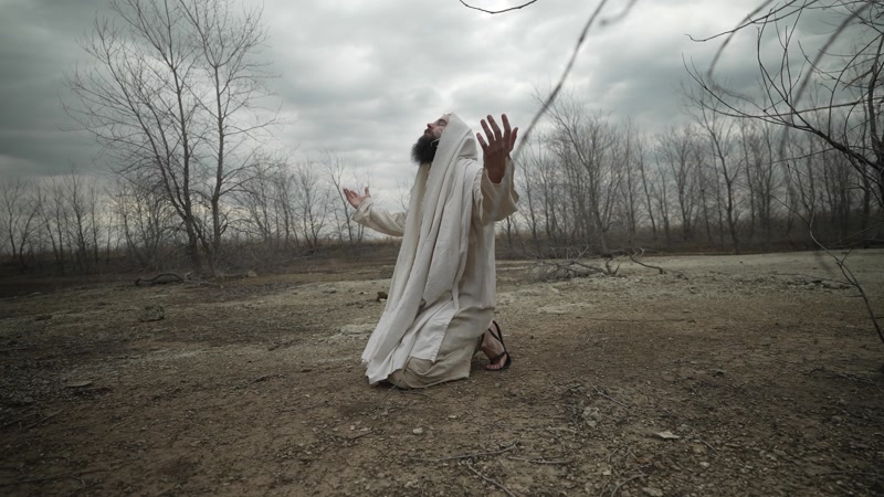 Discover The solitude of Jesus in the wilderness, a story-driven ...