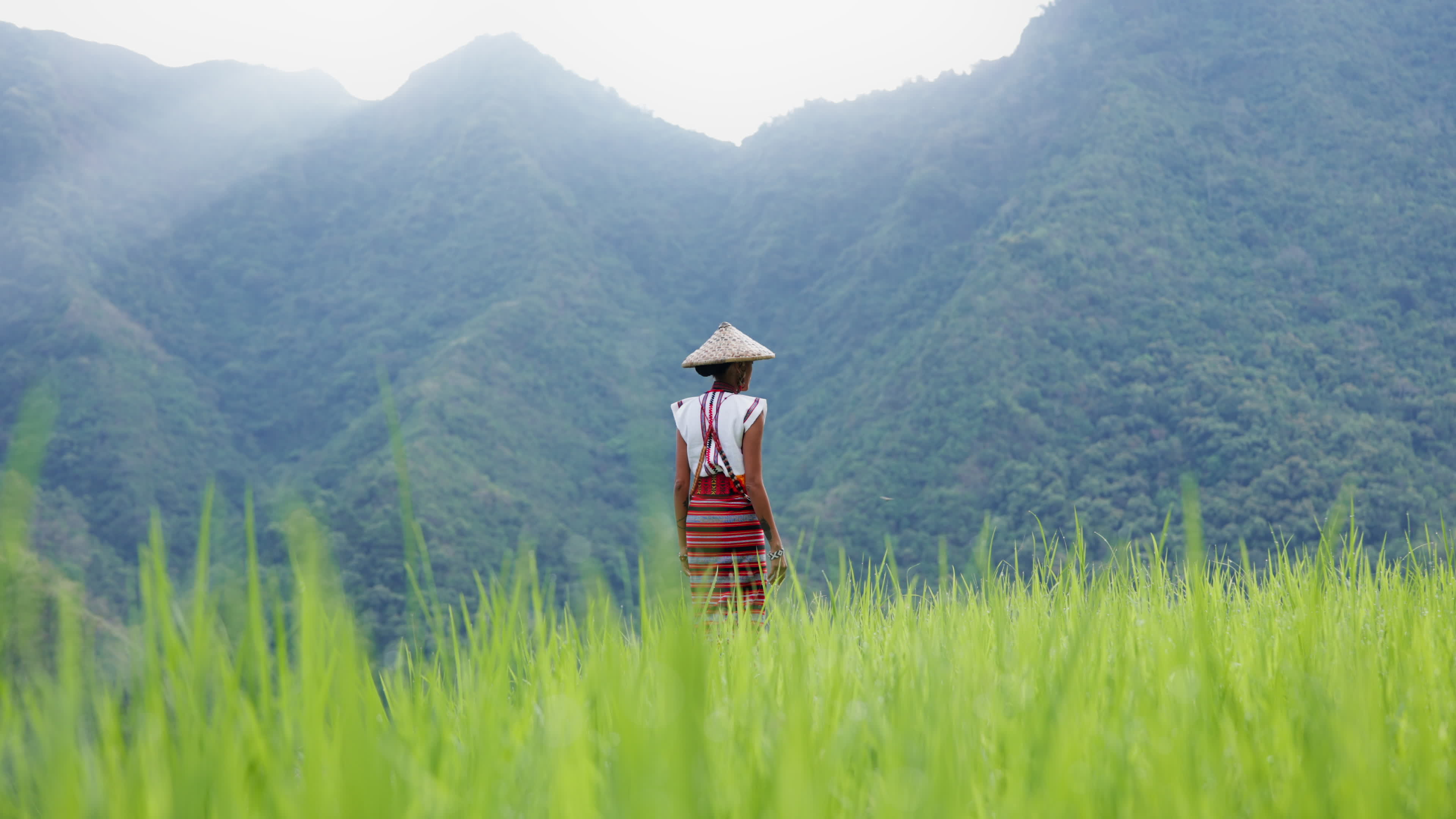 Discover Exploring Rice Plantations, a story-driven footage | Artlist