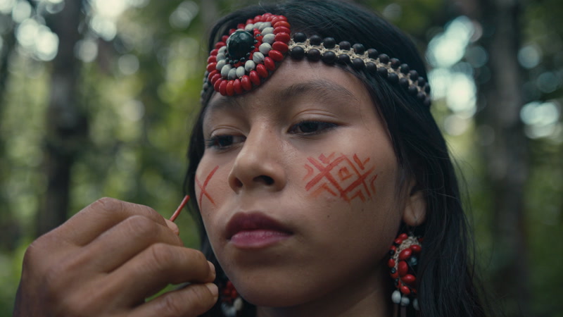 Traditions of the Huaorani Tribe by Wind Collective | Royalty Free ...